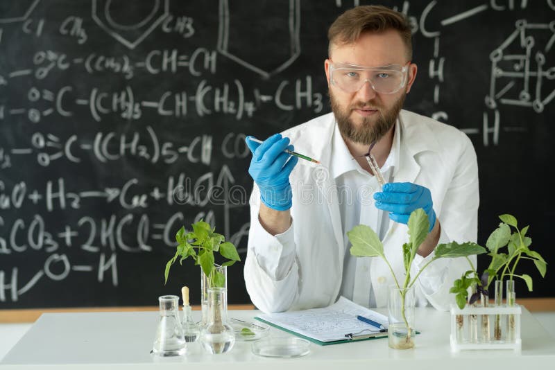 In A Modern Laboratory Scientist Injects In Plant With A Syringe He Working On A Genetic