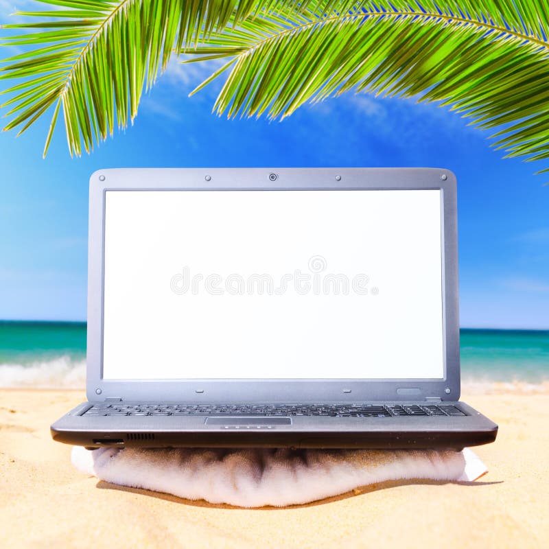 Modern Laptop Under Palm Tree Stock Image - Image of foliage, blue ...