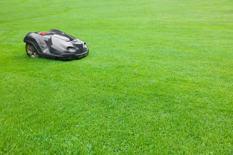 Modern Lawn Mower on Green Grass Outdoors. Space for Text Stock Image ...