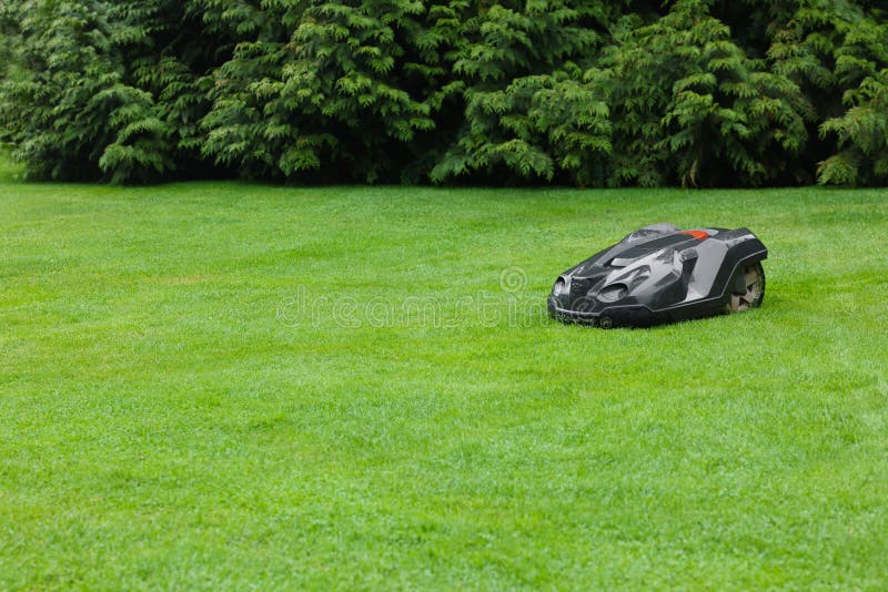 Modern Lawn Mower on Green Grass Outdoors. Space for Text Stock Image ...