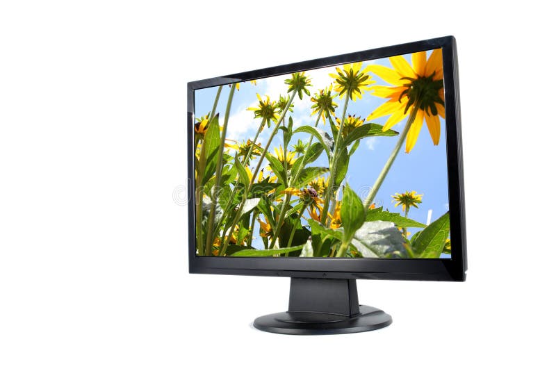 Modern Lcd Monitor Isolated Stock Photo - Image of program, plasma: 6922436