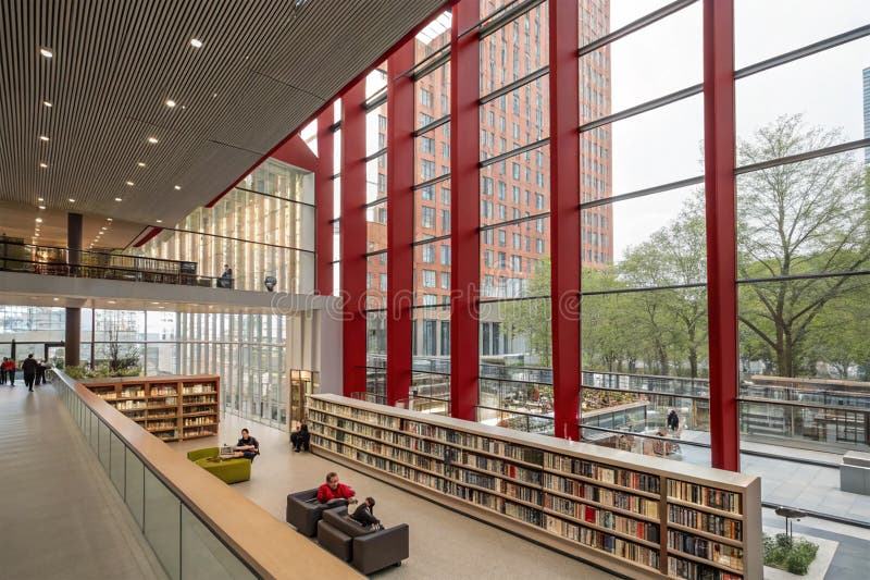 Modern Library with Bold Architecture Stock Illustration - Illustration ...