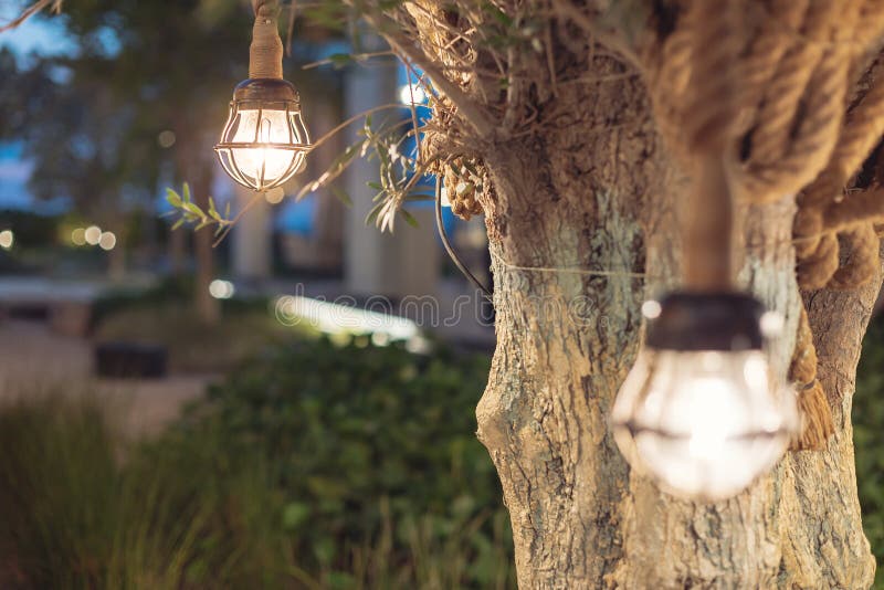 Modern light bulbs stock image. Image of bulbs, electric - 172280791