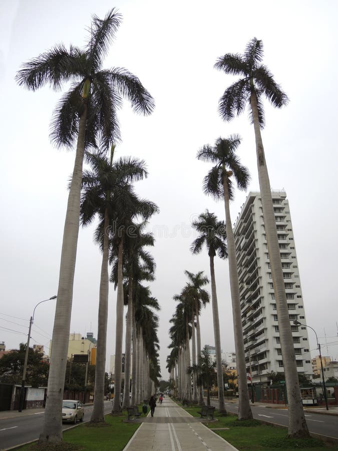 Modern lima editorial photography. Image of cercado, blue - 64184922