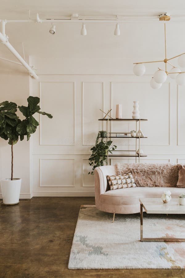 A modern living room style stock photo. Image of elegant - 218591942