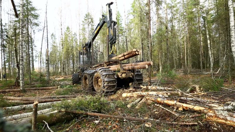 Modern Logger Working in Sawmill. Powerful Tree Logger Lifting Logs ...