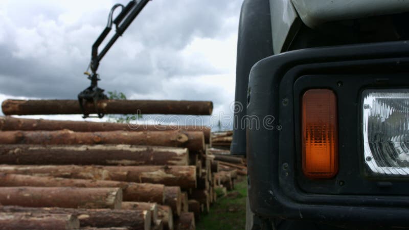 Modern Logger Working in Sawmill. Powerful Tree Logger Lifting Logs ...