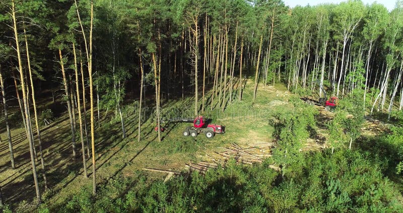Modern Logging Machine, Deforestation Workflow Stock Footage - Video of ...
