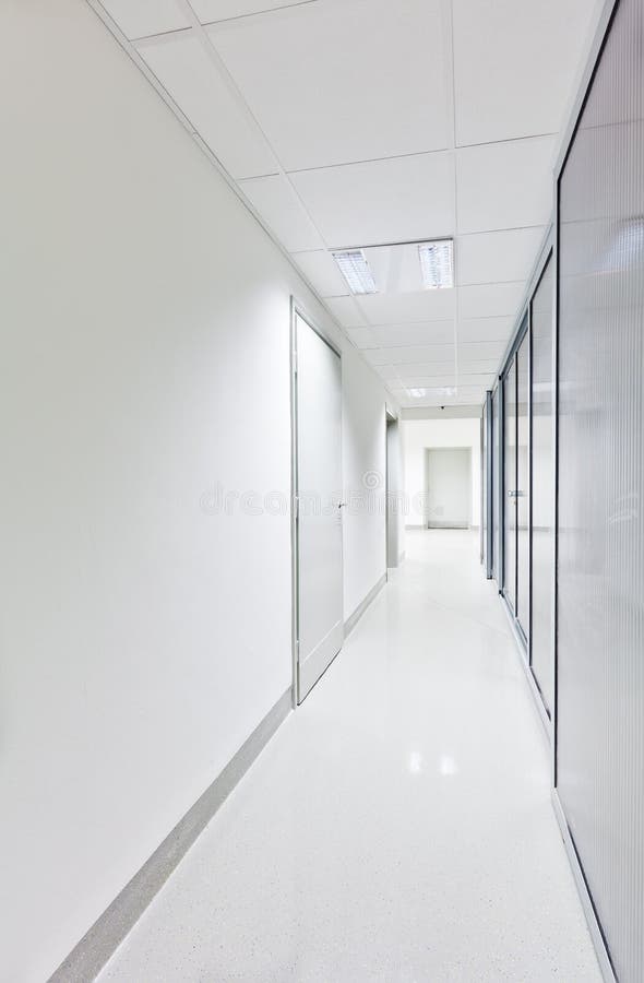 Office corridor stock image. Image of business, work - 19977593