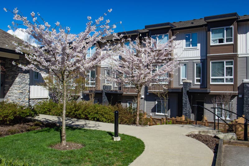 Modern Low Rise Wood Frame Complex. on Sunny Day in Spring with ...