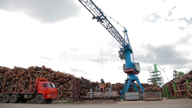 Modern Lumber Factory Crane Load Log Trucks Stock Video - Video of ...