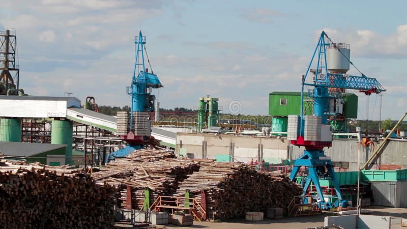 Modern Lumber Factory Crane Load Log Trucks Stock Video - Video of 1080 ...