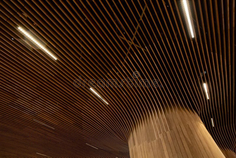Modern Luxurious Ceiling Made To Look Like Wood with Vertical Stripes ...