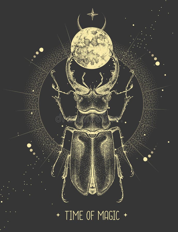 Modern Magic Witchcraft Card with Moon and Stag Beetle. Hand Drawing ...