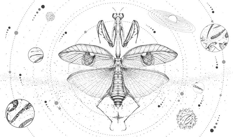 Modern Magic Witchcraft Card with Solar System and Praying Mantis. Hand ...