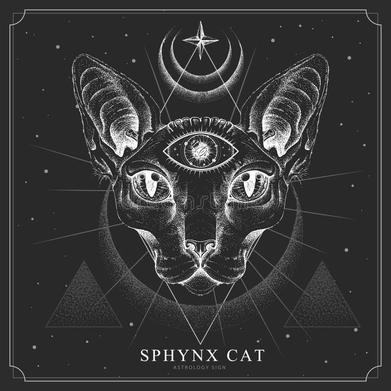 Modern Magic Witchcraft Card with Sphynx Cat and All-seeing Eye ...