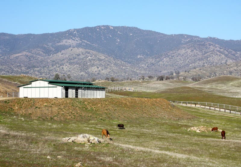 Modern Metal Barn on a Hillside Stock Image - Image of barn, horses ...