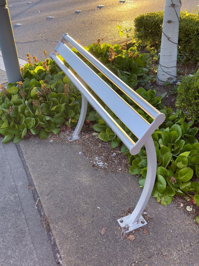 A Bench on the Side of the Sidewalk Stock Photo - Image of cover ...