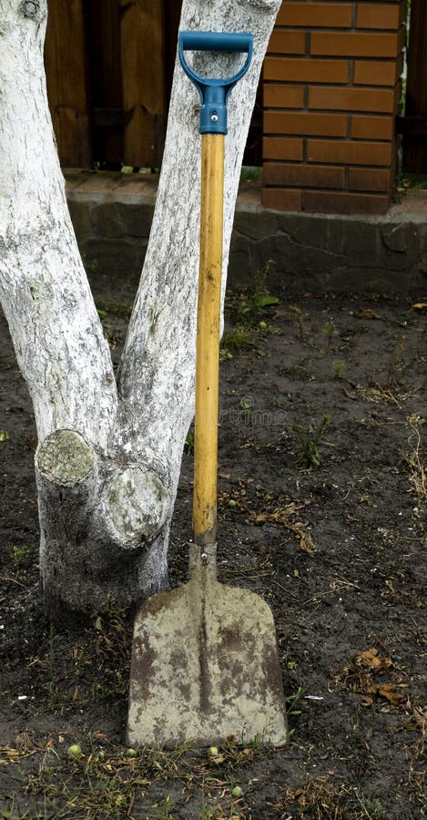 Modern Metal Shovel Spade at the Tree Stock Photo - Image of farming ...