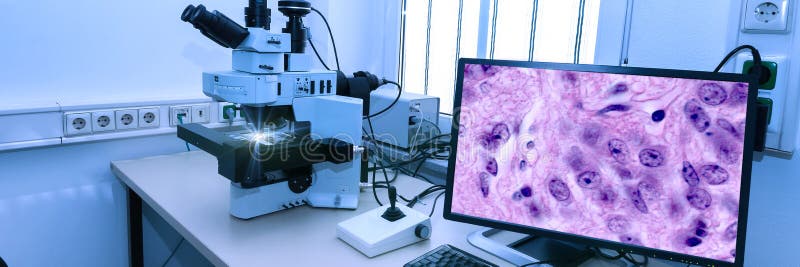 Modern Microscope Station in Research Facility Stock Image - Image of ...