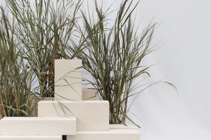 Modern Minimalist Display Featuring Textured White Blocks Stock Image ...