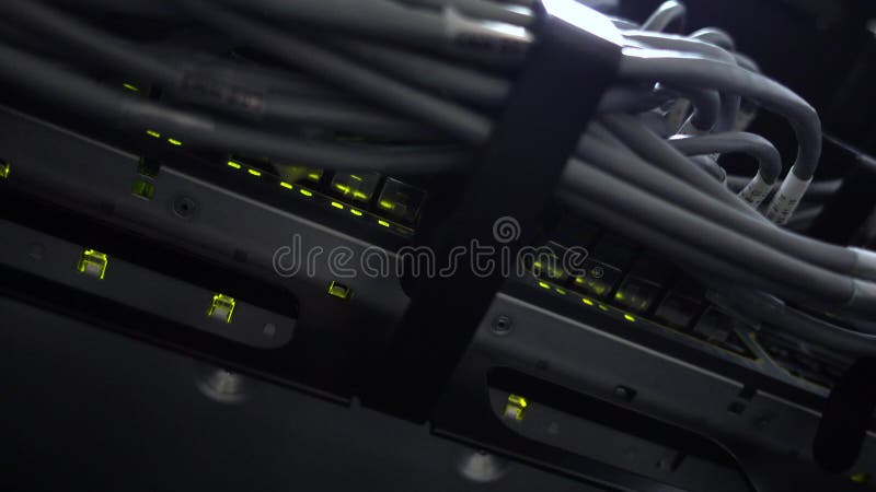 Modern Network Switch with Cables. Bottom View. Stock Video - Video of ...