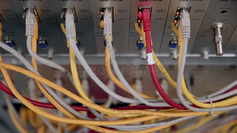 Utp Cables Big Server Rack. Network Cable Connecting on Network Gigabit ...