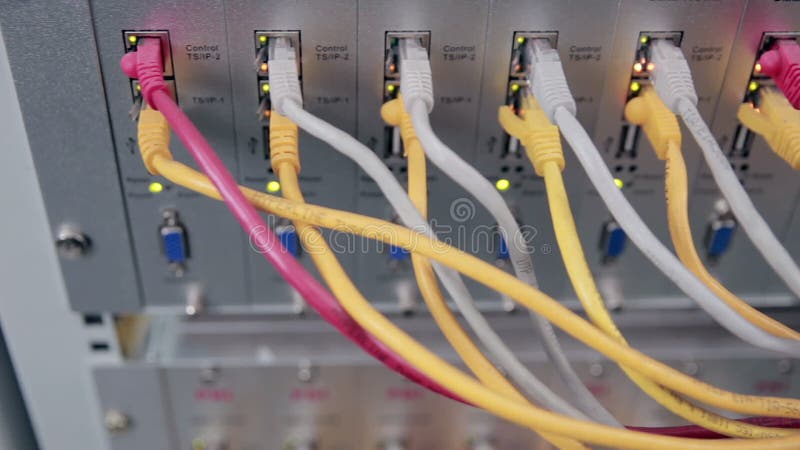 Utp Cables Big Server Rack. Network Cable Connecting on Network Gigabit ...