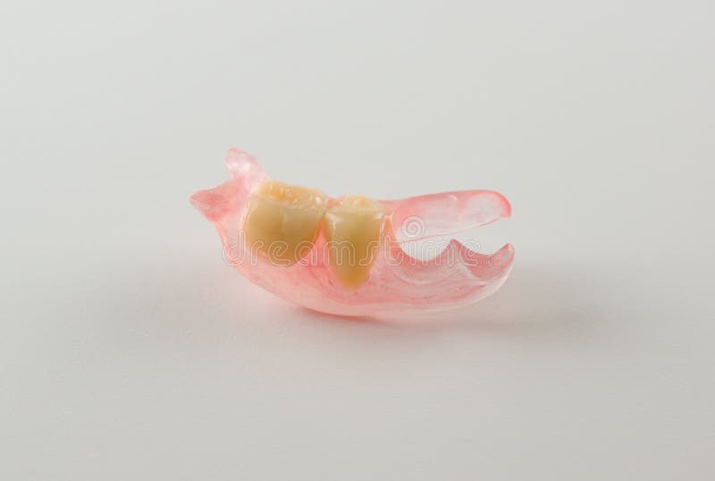 Modern Nylon Removable Dentures Stock Image - Image of dental ...