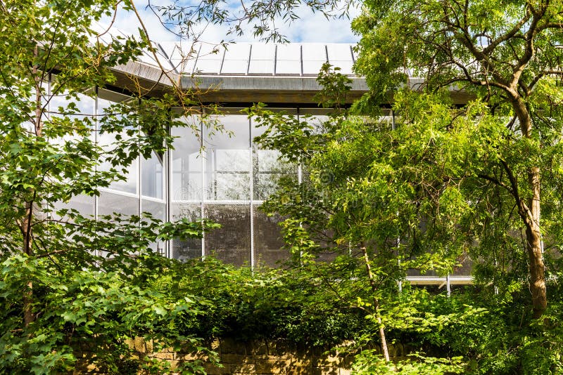 Modern Office Building Exterior, Window Reflexions and Trees Stock ...