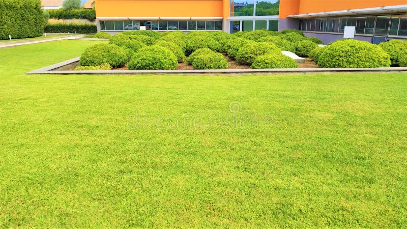 Modern Office Building with a Huge Green Grass Lawn. Very Large Front ...