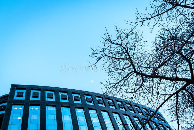 Modern Office Building with Tree Branches Framing it and Cool Tones ...