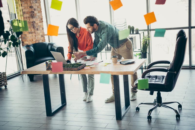 Two Colleagues Collaborate on a Project in a Modern Office Filled with ...