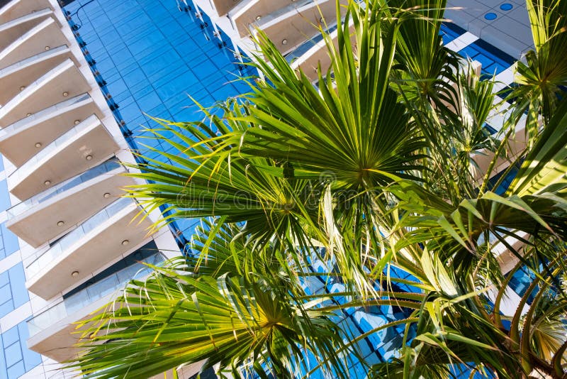 Modern Office or Hotel Building with a Mirrored Blue Facade Surrounded ...