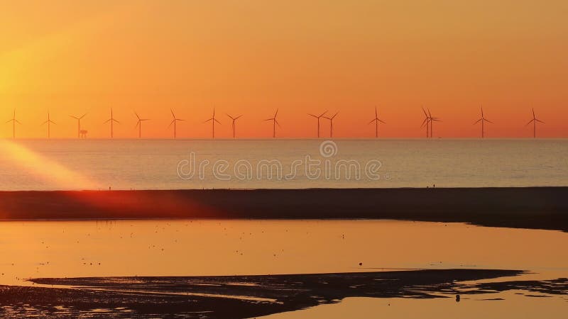 Modern Offshore Wind Farm in the Evening 4k 30fps Video Stock Video ...