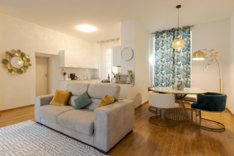 Modern Open Space in Elegant Apartment. There is a Comfortable Sofa in ...