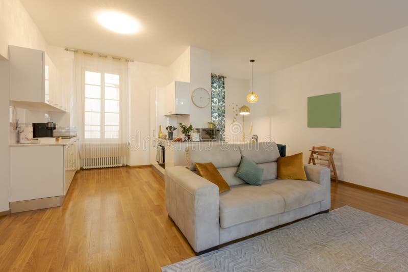 Modern Open Space in Elegant Apartment. There is a Comfortable Sofa in ...