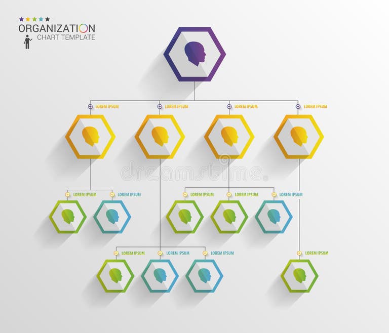 Modern Organization Chart Template. Vector Stock Vector - Illustration ...