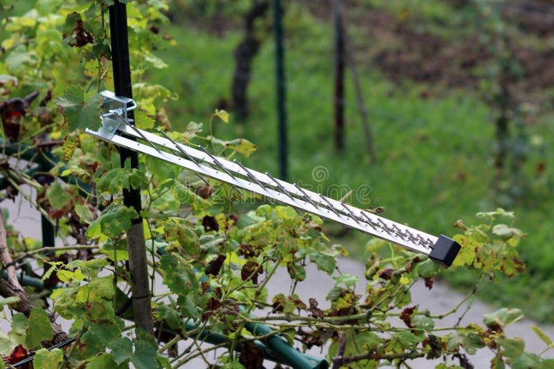 Uda Antenna Stock Photos - Free & Royalty-Free Stock Photos from Dreamstime