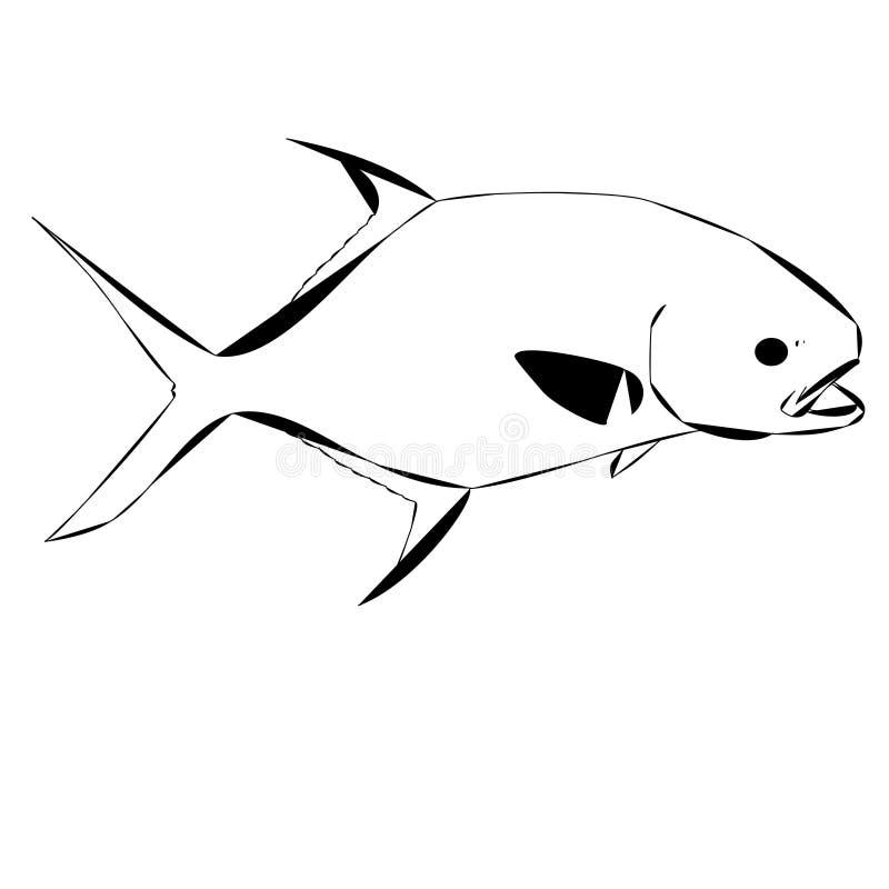 Modern Outline of a Permit Fish Stock Vector - Illustration of game ...