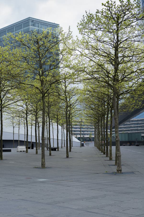 Modern park stock photo. Image of luxemburg, chill, benches - 66885926