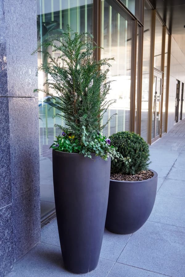 Modern Planters Outside Office Building Stock Photo - Image of building ...