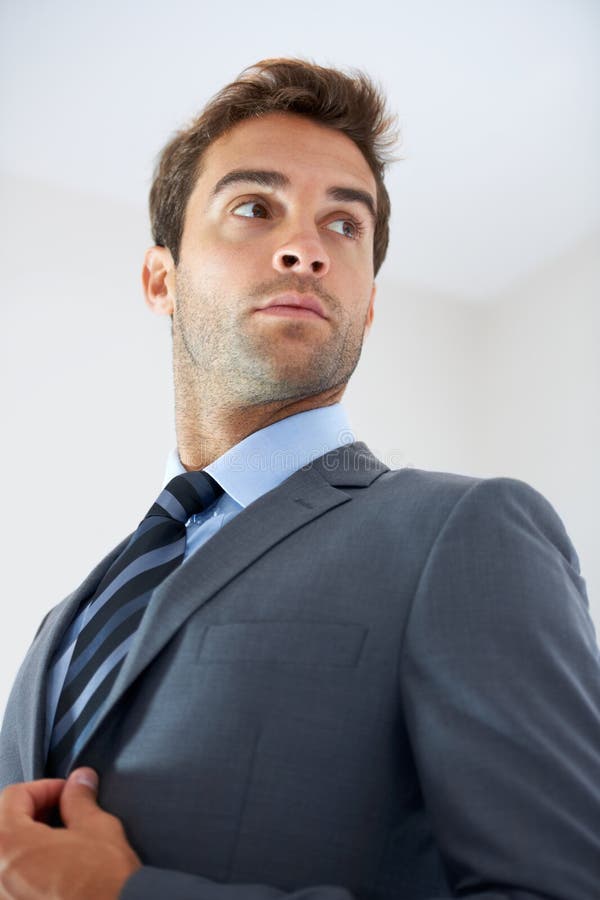 The Modern Professional. a Handsome Young Businessman at Work. Stock ...