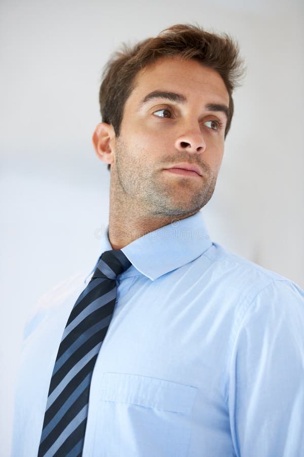 The Modern Professional. a Handsome Young Businessman at Work. Stock ...