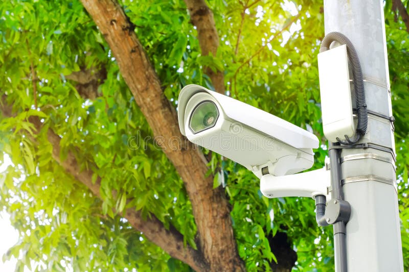 Public CCTV Camera on a Electric Pole with Natural Stock Image - Image ...