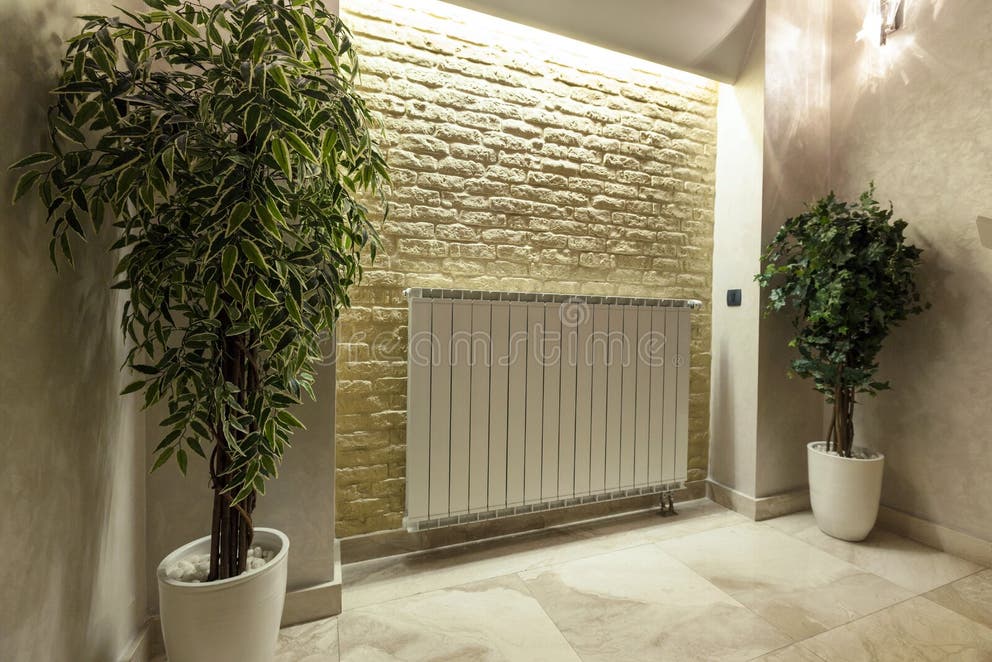 Modern radiator stock image. Image of residential, plant - 41151161