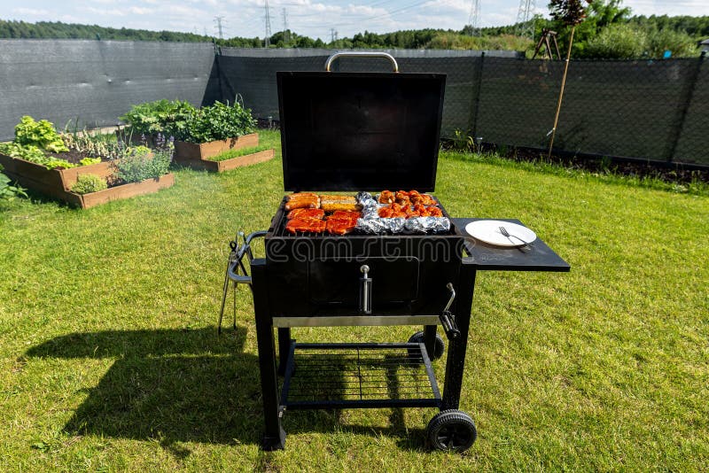 A Modern Rectangular Grill Standing in the Garden on a Beautiful Green ...