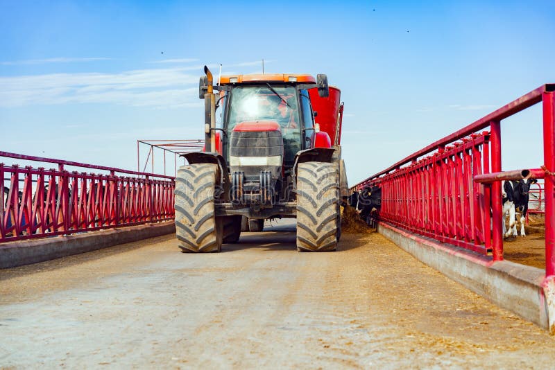 Modern Red Agricultural Tractor in a Farm Stock Image - Image of ...