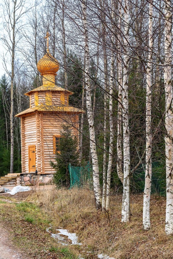 Russia, Leningrad Region, December 2020. a Log Chapel in a Birch Grove ...