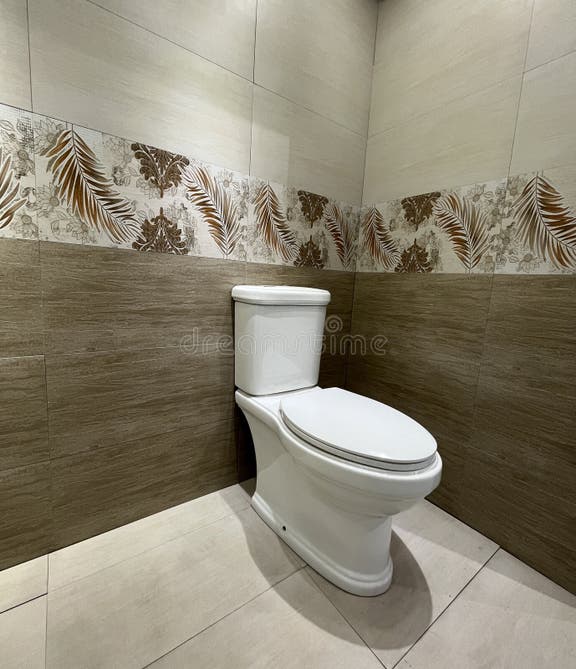 Modern Restroom with Ceramic Toilet Bowl Stock Photo - Image of ...